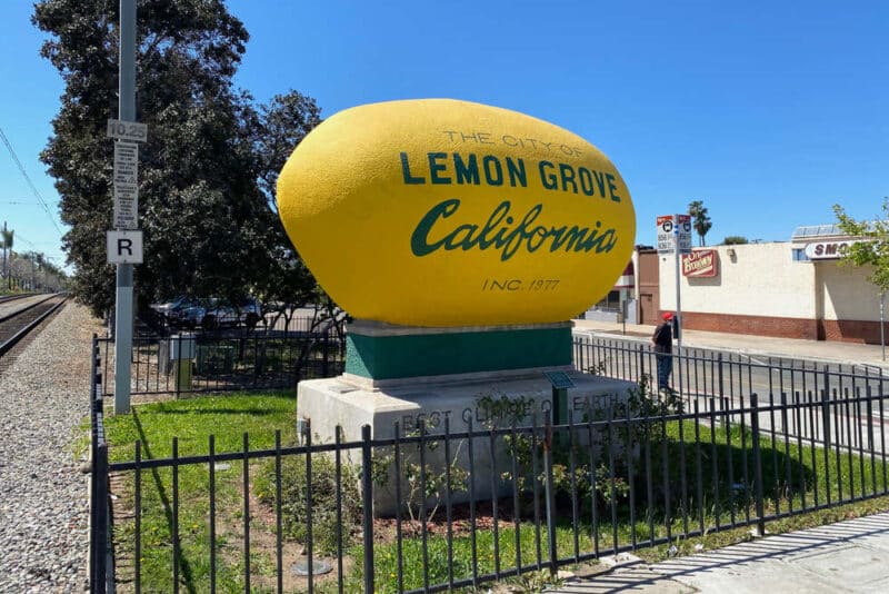 Artificial Turf Solutions in Lemon Grove